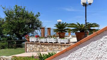 Área da propriedade