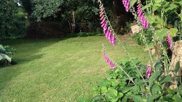 Jardim