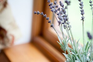 Casa, várias camas | Exterior