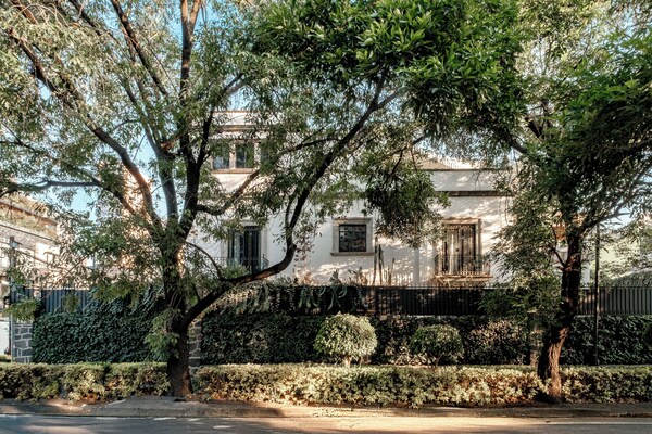 Pug Seal Polanco Anatole France - Mexico City