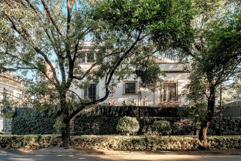 Pug Seal Polanco Anatole France - Mexico City