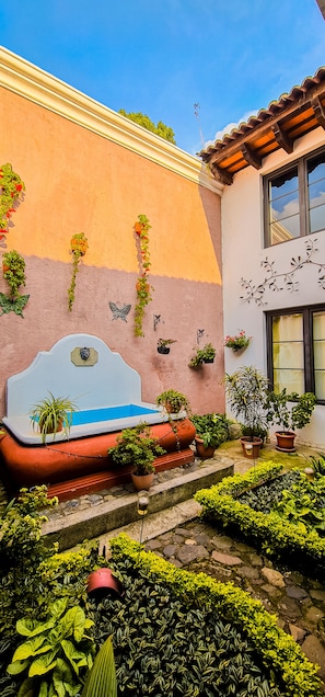 Vista para o jardim