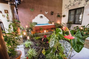 Vista para o jardim