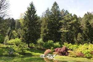 Um jardim tranquilo com lago, diversas árvores e uma pequena cascata.