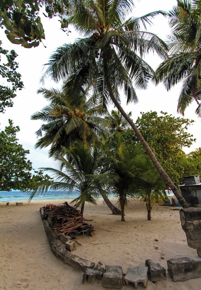 Goby Lodge Guest House - Maldives