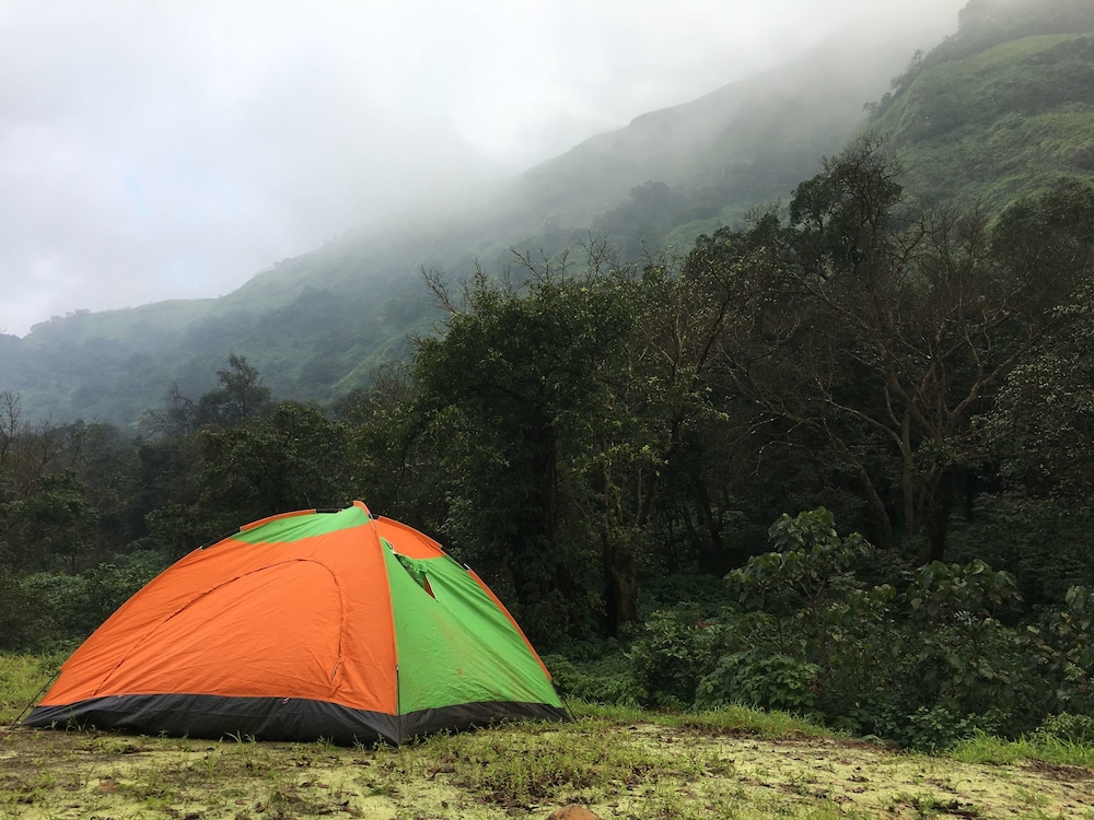 Canary Forest Camping - Maharashtra