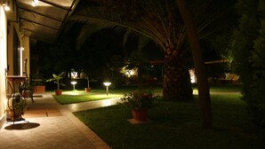 Área externa bem iluminada com um caminho, plantas em vasos e uma palmeira.