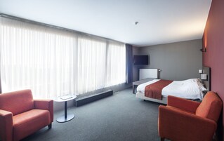 Suite Deluxe | Roupa hipoalergénica, edredões de penas, minibar 