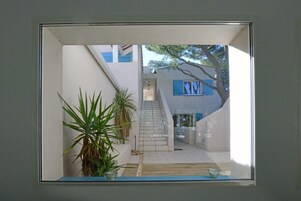 Um edifício moderno com uma escadaria que leva a um segundo andar, rodeado por plantas em vasos.