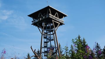 Uma torre alta de observação, com estrutura metálica e telhado plano, cercada por vegetação e árvores.