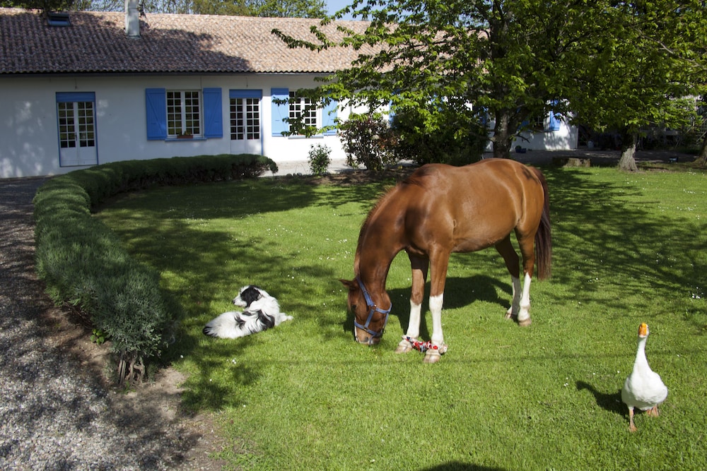 La Maison Blanche - Ariège