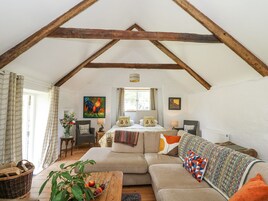 Televisor, leitor de DVD 