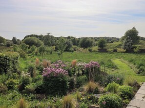 Um jardim ajardinado com diversas plantas e árvores.