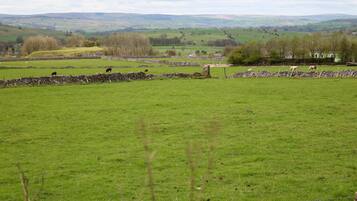Paisagem rural com muros de pedra e campos verdes.