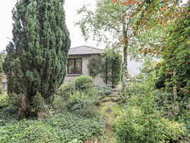 Casa de Campo | Terrenos do alojamento