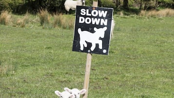 Casa de Campo | Interior