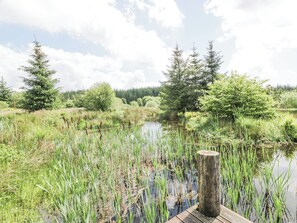 Casa de Campo | Terrenos do alojamento