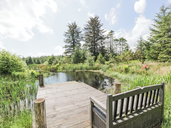 Casa de Campo | Terrenos do alojamento