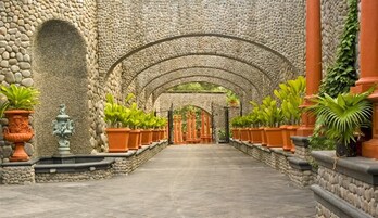 Área da propriedade