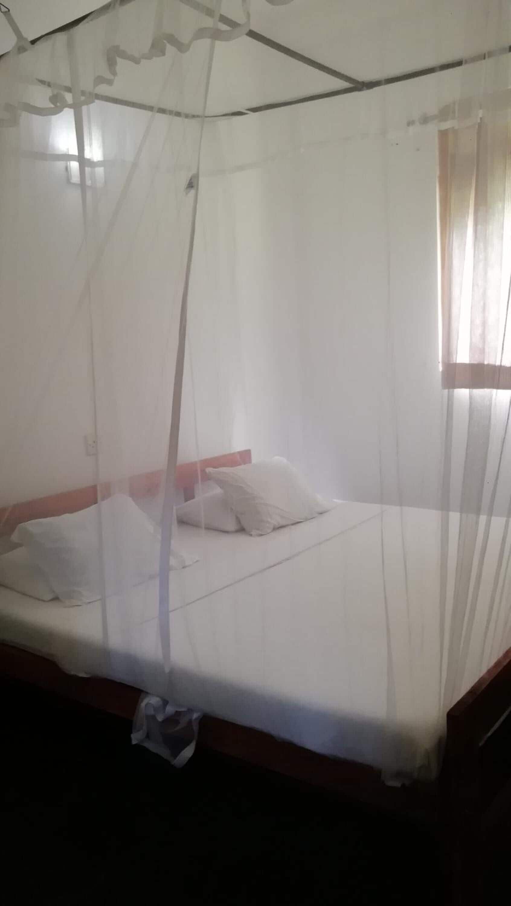 Cama com mosquiteiro, travesseiros brancos e cabeceira de madeira.