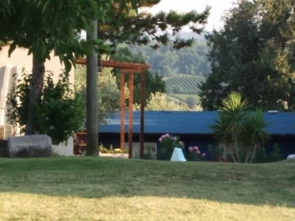 Il Giardino Fra Gli Ulivi - Torino di Sangro