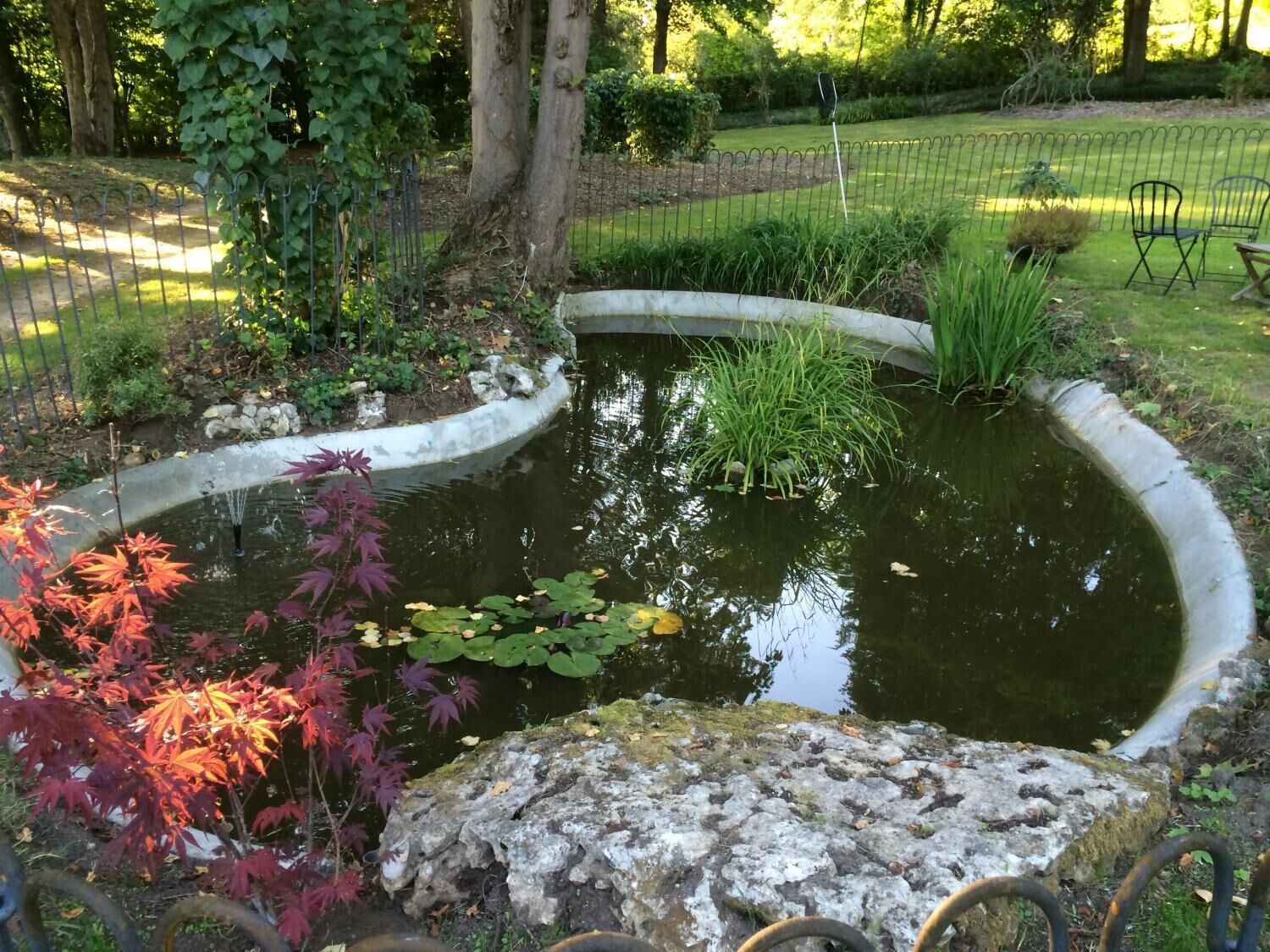Um lago no jardim com borda de pedra curva, rodeado por plantas e árvores diversas.