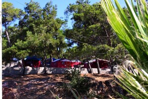 Tenda | Wi-fi grátis 