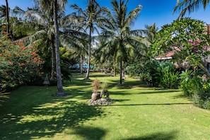 Vista para o jardim