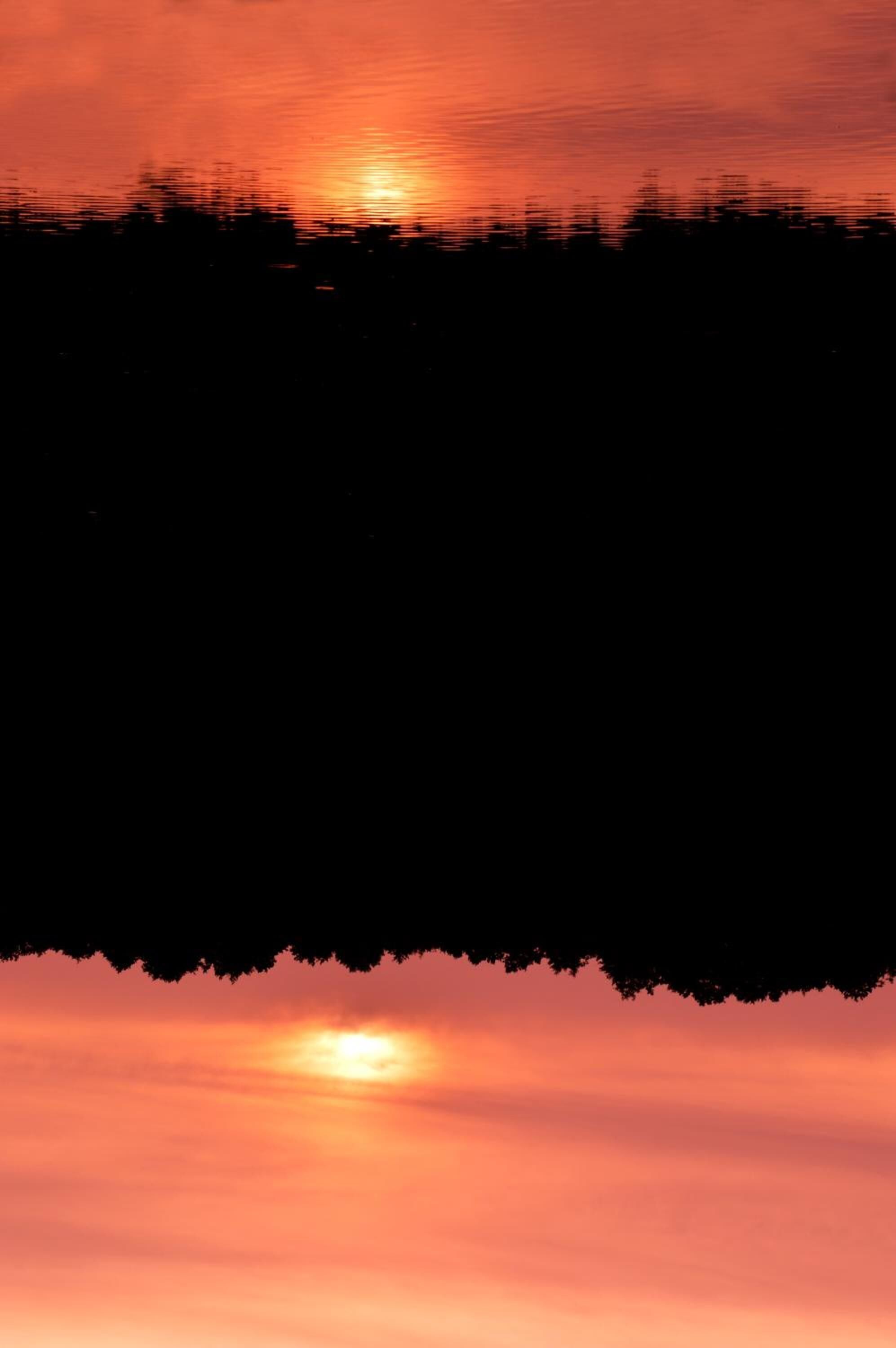Pôr do sol sobre a água, com silhuetas de árvores e o reflexo do sol.