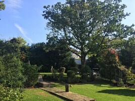 Pormenores do exterior