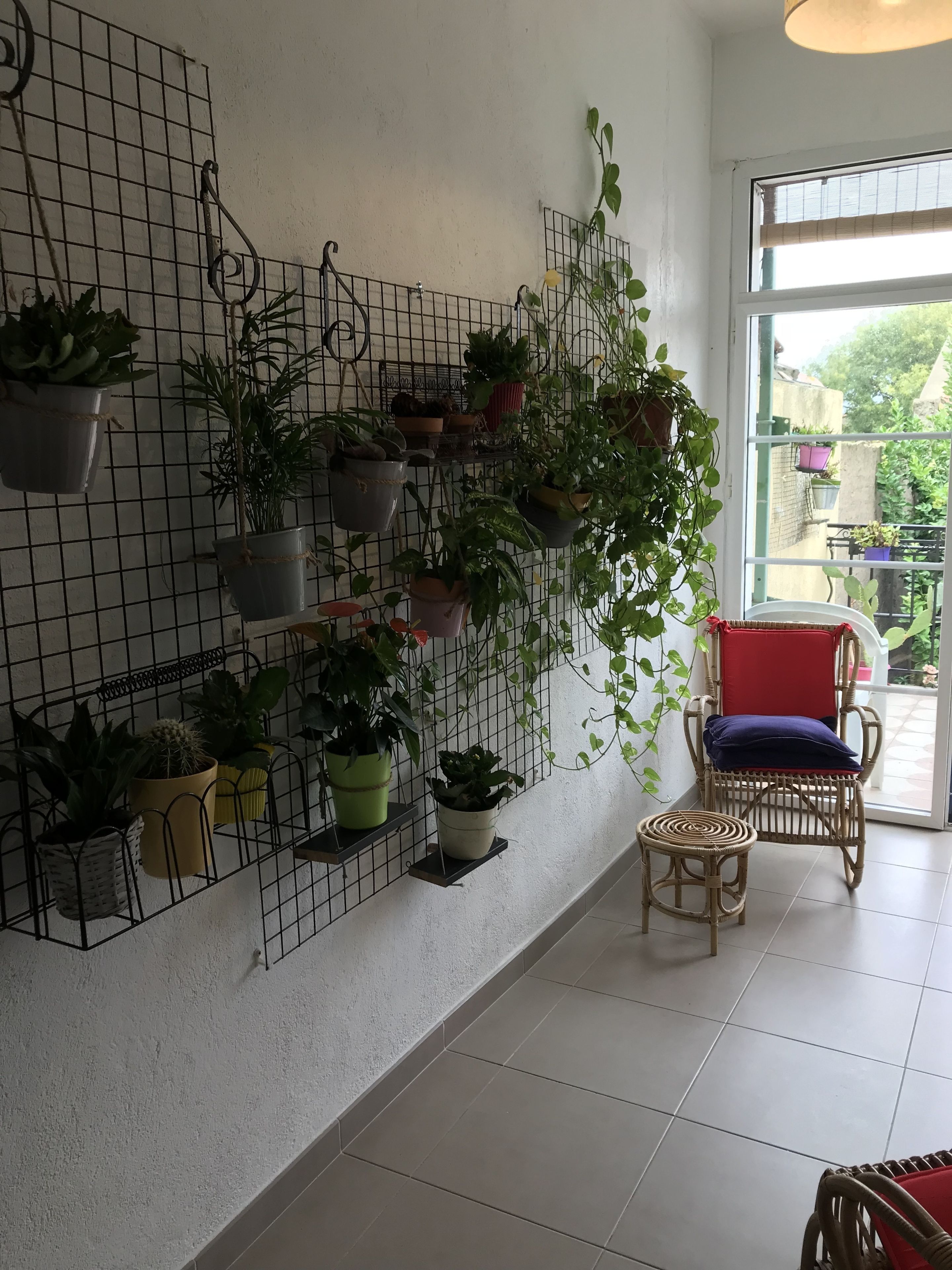 Um quarto com um painel de plantas fixado na parede em formato de grade, uma cadeira de vime com almofada e uma pequena mesa redonda.