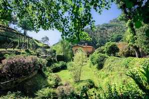 Vista para o jardim