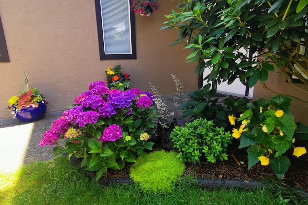 Entrada da propriedade