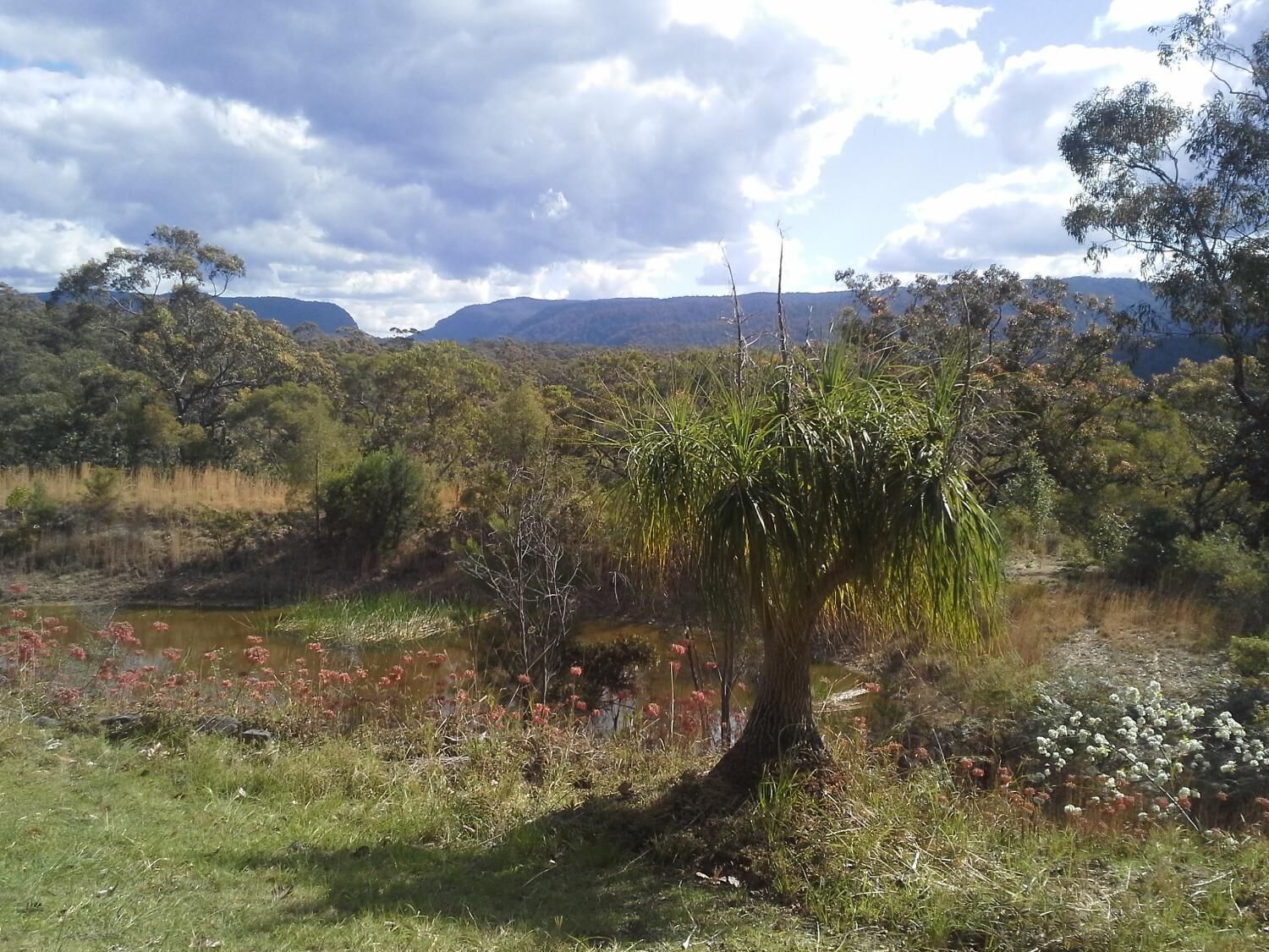 Paisagem natural com uma árvore em primeiro plano, um corpo de água e montanhas ao fundo.