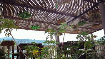 Área externa coberta com estrutura metálica, mobiliário de madeira e diversos vasos de plantas.