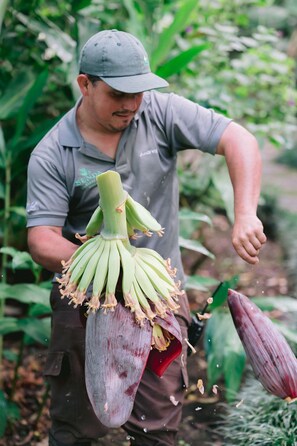 Pequenos-almoços, almoços, jantares servidos, cozinha regional 