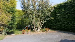 Uma área de estacionamento com uma árvore e um canteiro de flores.