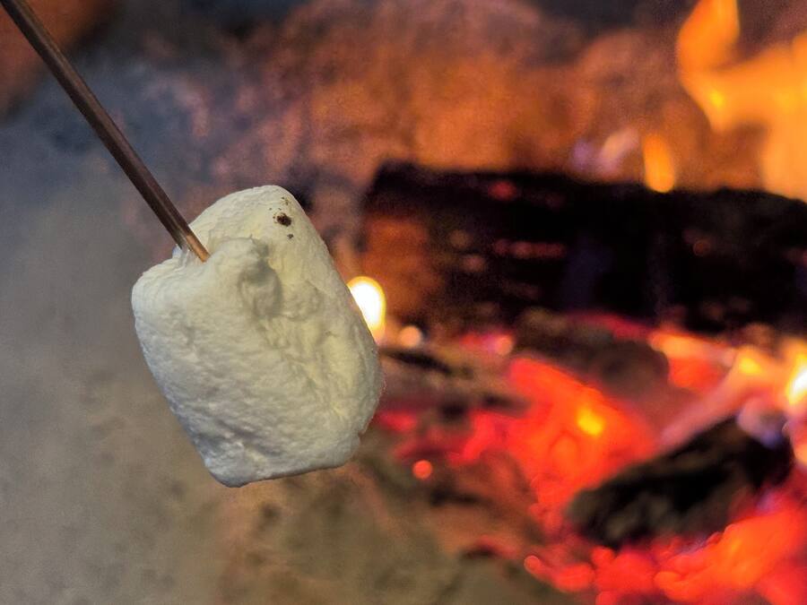 Um marshmallow espetado sobre uma fogueira.