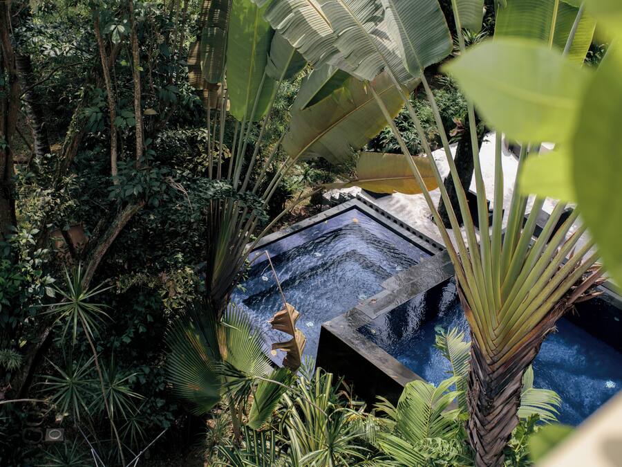 Piscina cercada por vegetação tropical densa, incluindo grandes folhas de bananeira e palmeiras.