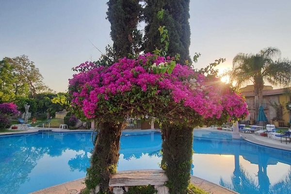 Quarto Quádruplo Júnior, 2 camas de casal, vista para a piscina | Cofre no quarto, secretária