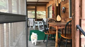 Um deck de madeira com mesa, cadeiras, um cão e um tapete verde.