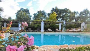 Piscina com borda de pedra, cercada por espreguiçadeiras e vegetação.
