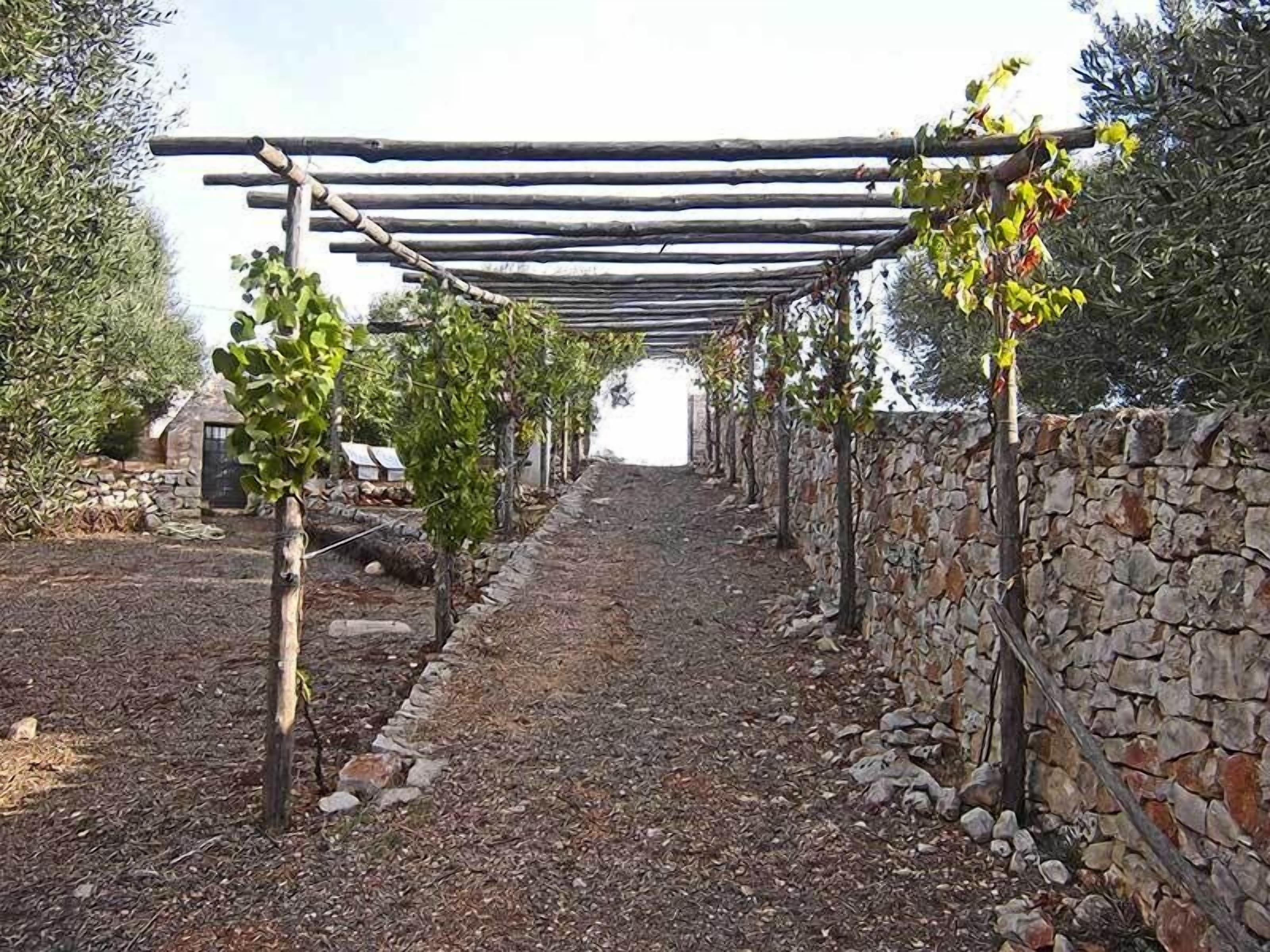 Terrenos do alojamento