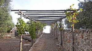 Uma trilha entre vinhedos com uma pérgola acima, paredes de pedra de um lado e um edifício rústico ao fundo.