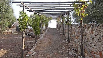 Terrenos do alojamento