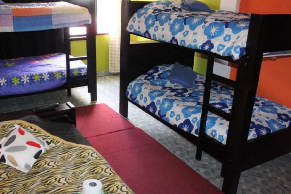 Shared Dormitory, Mixed Dorm, 4 Guests | Cofre no quarto, cortinas/cortinados opacos, Wi-fi grátis 