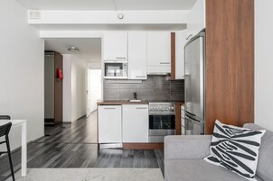 Apartamento Comfort, 1 quarto, Vista para a cidade | Cozinha privada | Um frigorífico/congelador grande, um micro-ondas, um forno 
