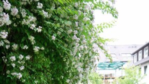 Um jardim exuberante com samambaias e plantas floridas, um muro de pedra e um caminho que leva a um edifício com toldo verde.