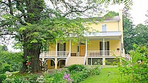 Uma casa amarela de dois andares com varanda, cercada por vegetação exuberante e plantas floridas.