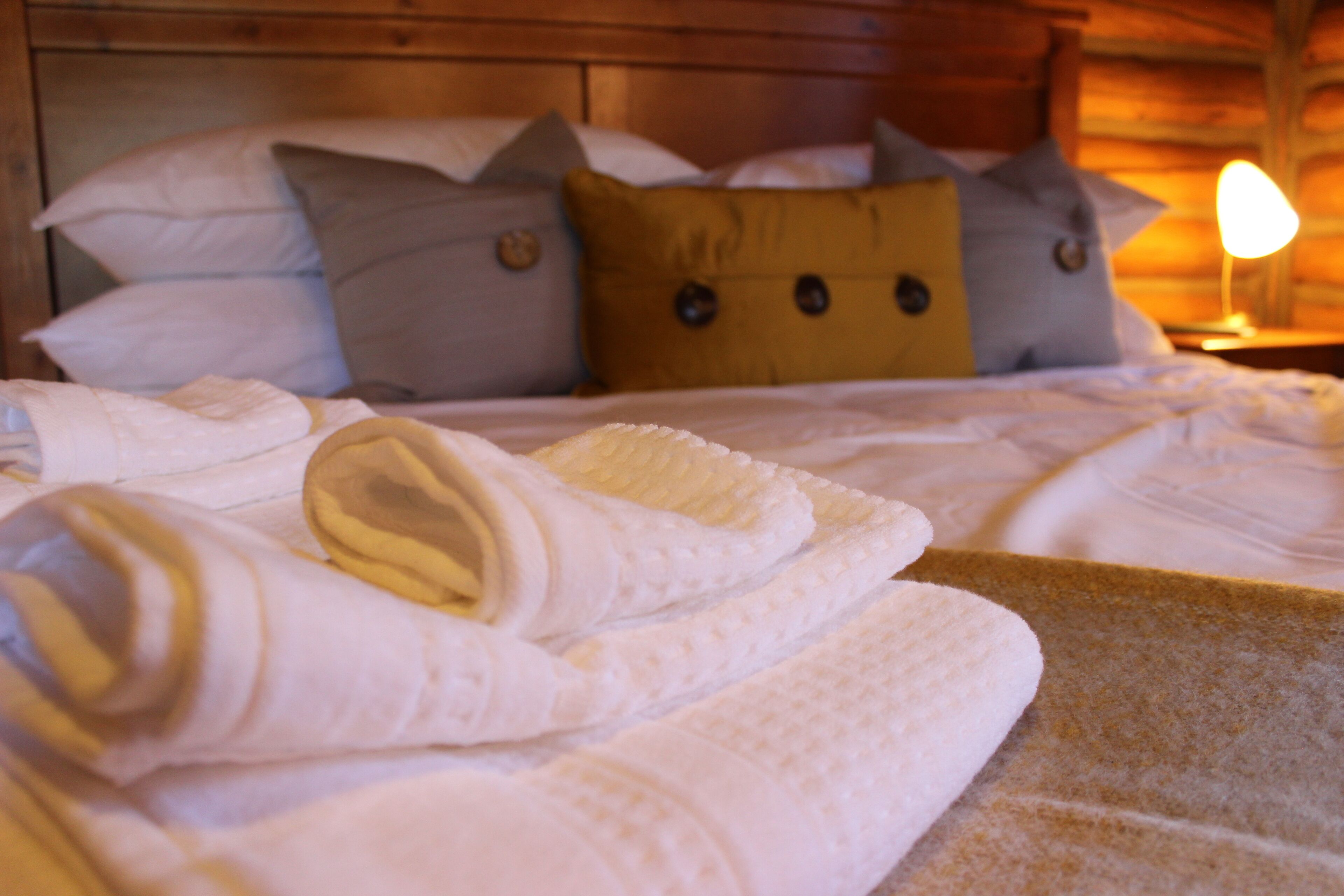 Quinnella's Rmnp Adventure Cabin - Allenspark, CO